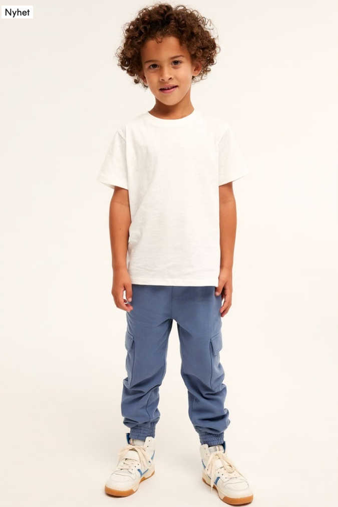 Francis 110 | Modellink